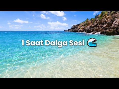 1 Saat Dalga Sesi – Rahatlatıcı Deniz Dalgaları 🌊 (Sleep • Relax • Focus)