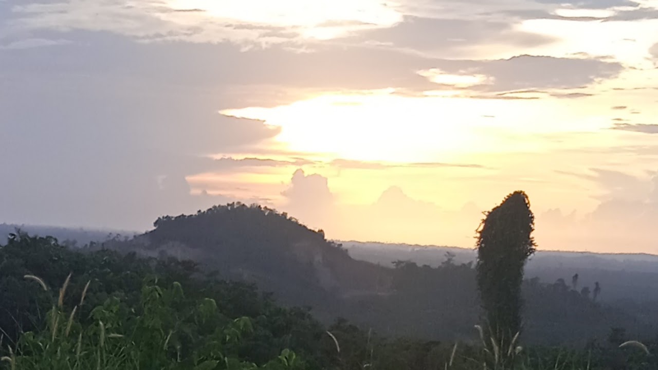 Live Stream Chikaru ch Official - YouTube