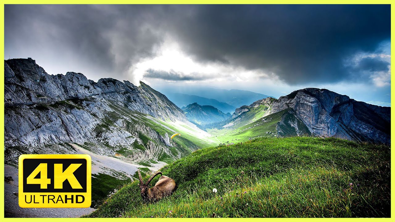 Natural History Moments Amazing Nature Scenery Wonderful Nature ...
