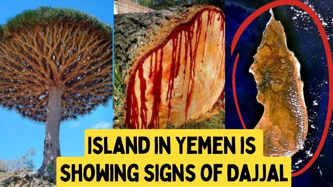 Island in Yemen is showing signs of Dajjal | Islamic Lectures RAMADAN ...