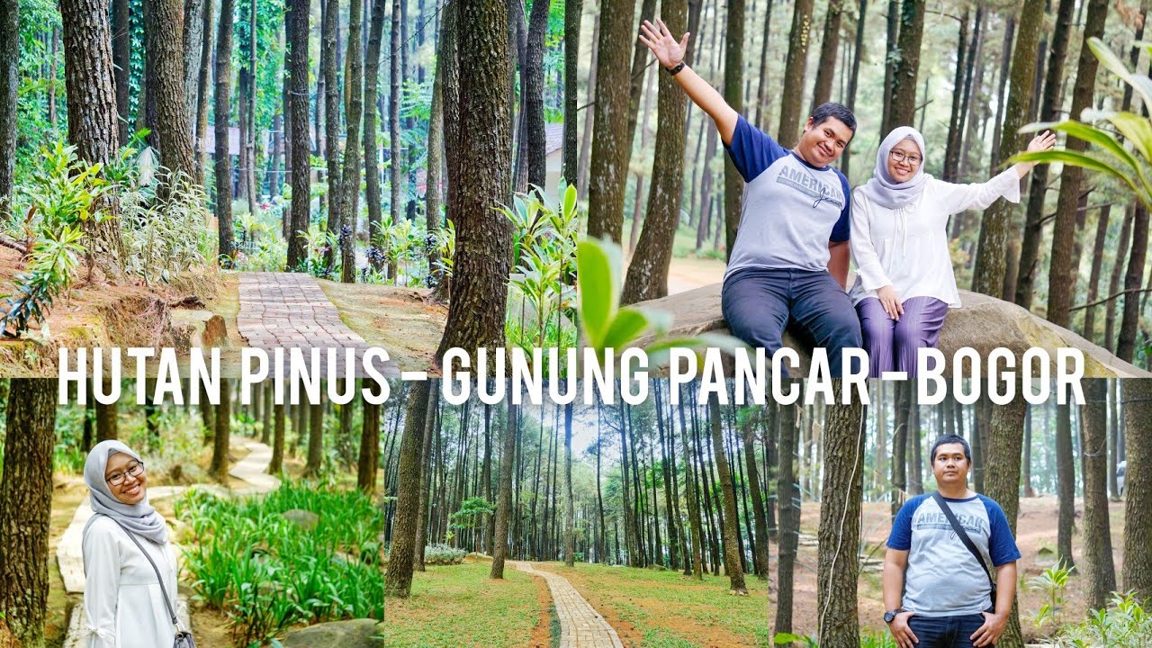 Wisata Alam Hutan Pinus | Gunung Pancar Sentul Bogor | Foto Prewedding ...