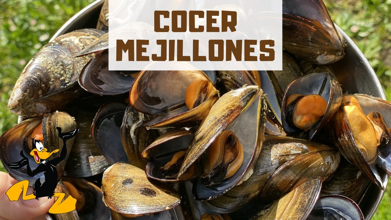 Precauciones al dar mejillones a los niños: Todo lo que debes saber ...