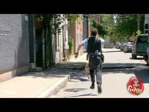 Bad Police Dog - YouTube