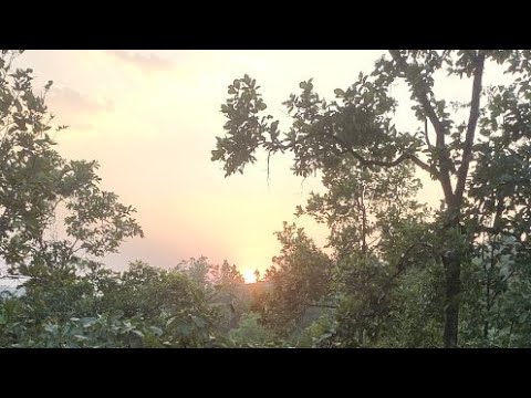 Korba Chhattisgarh Forest Top View - YouTube