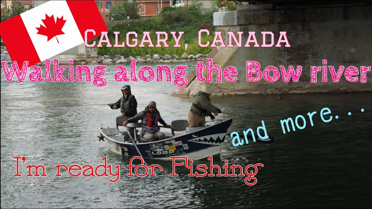 Check out Bow river and Elbow river for Fly Fishing in Calgary, Canada ...