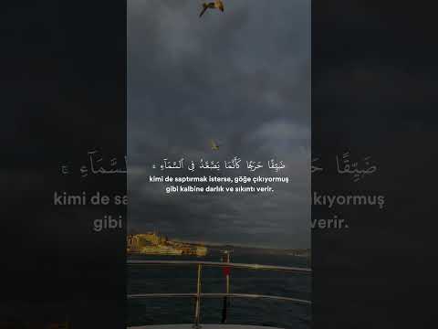 Enam süresi 125-126 ayet #quran_tilavetii #kuran #quran