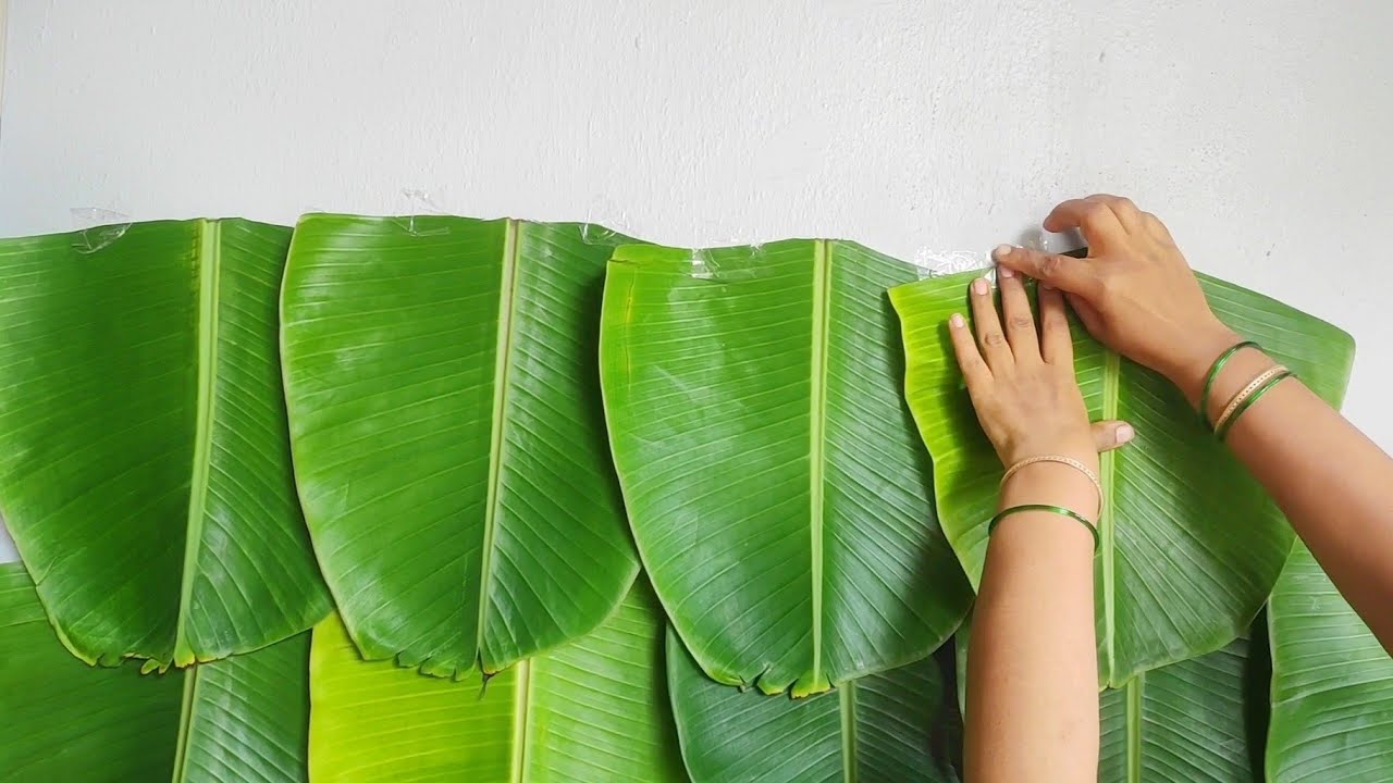 Banana Leaf Background