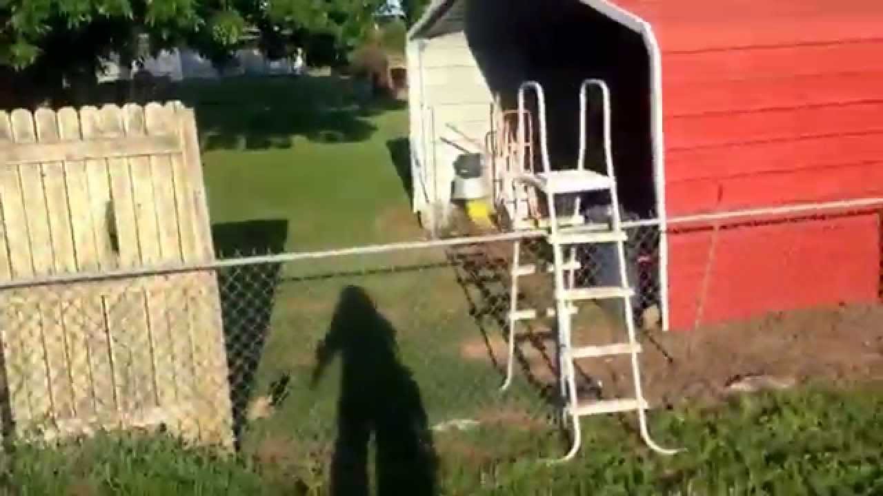 Lol so random - YouTube