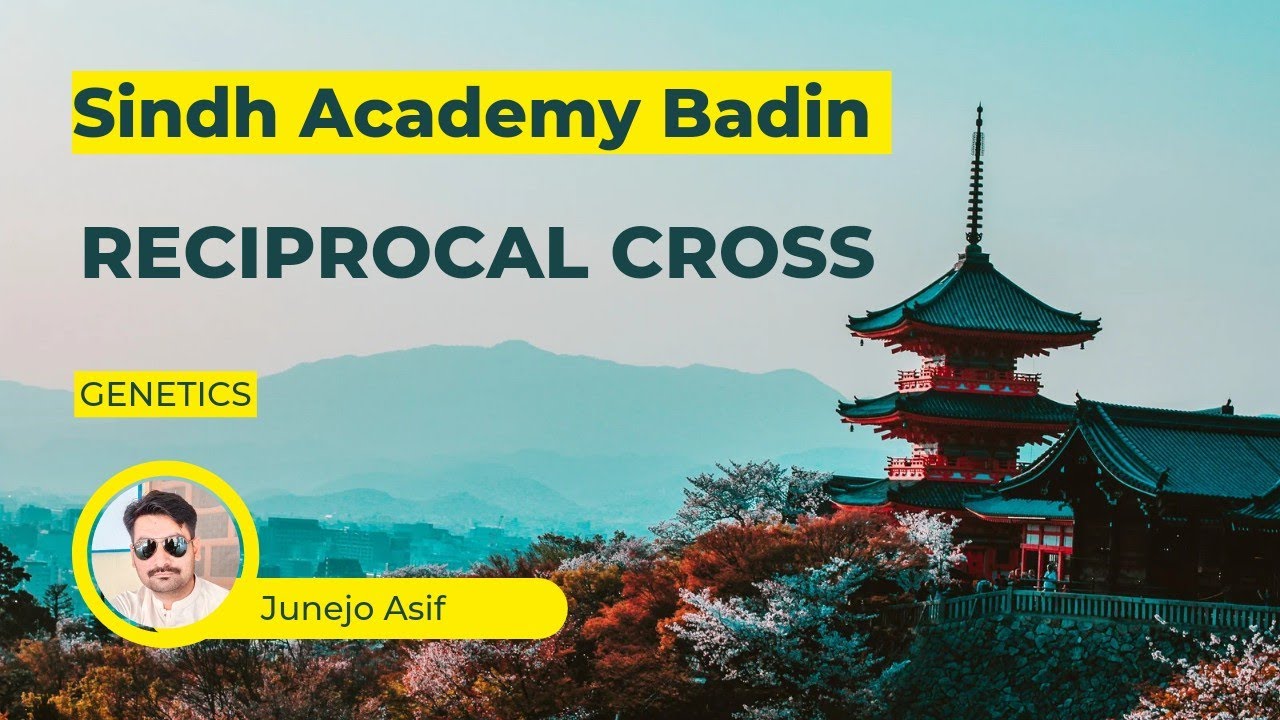 Reciprocal Cross | Types of Crosses - Genetics - YouTube