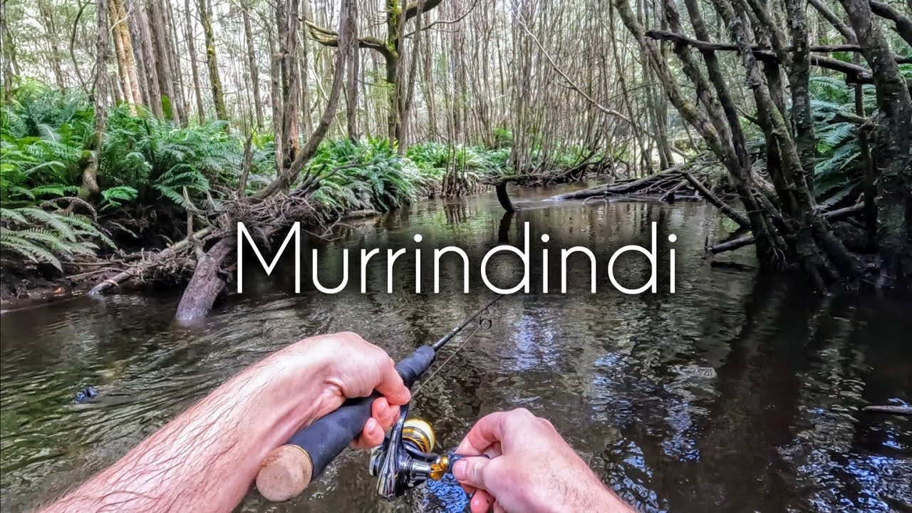 Murrindindi River Fishing - YouTube