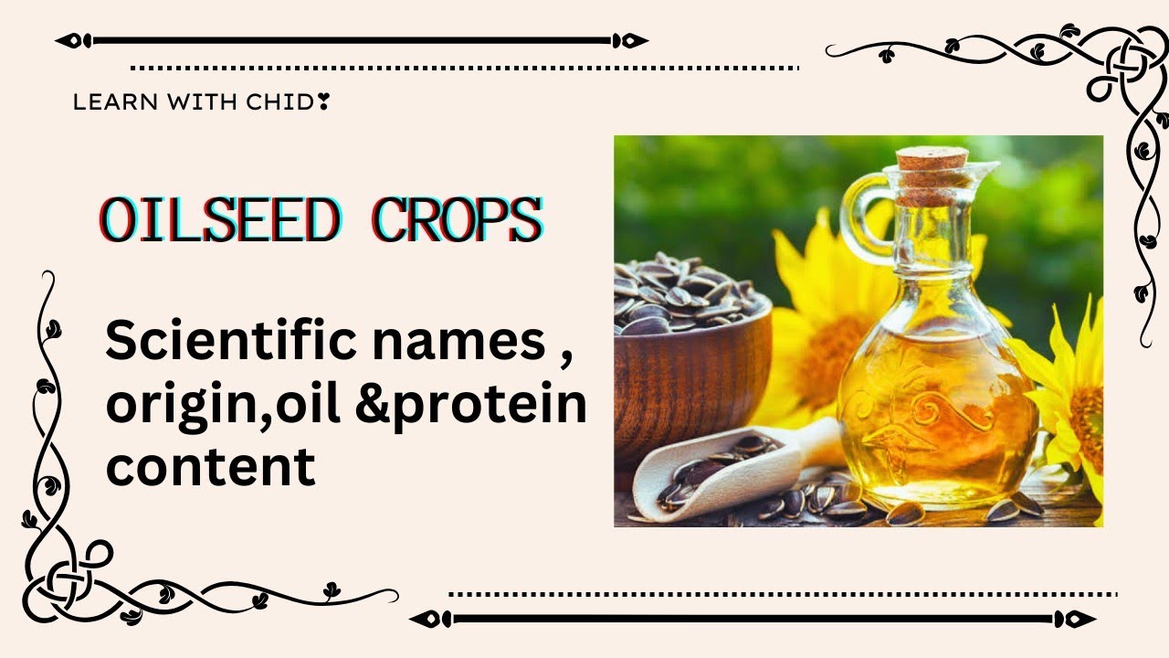 oilseed crops | scientific names |origin| oil content | protein content ...