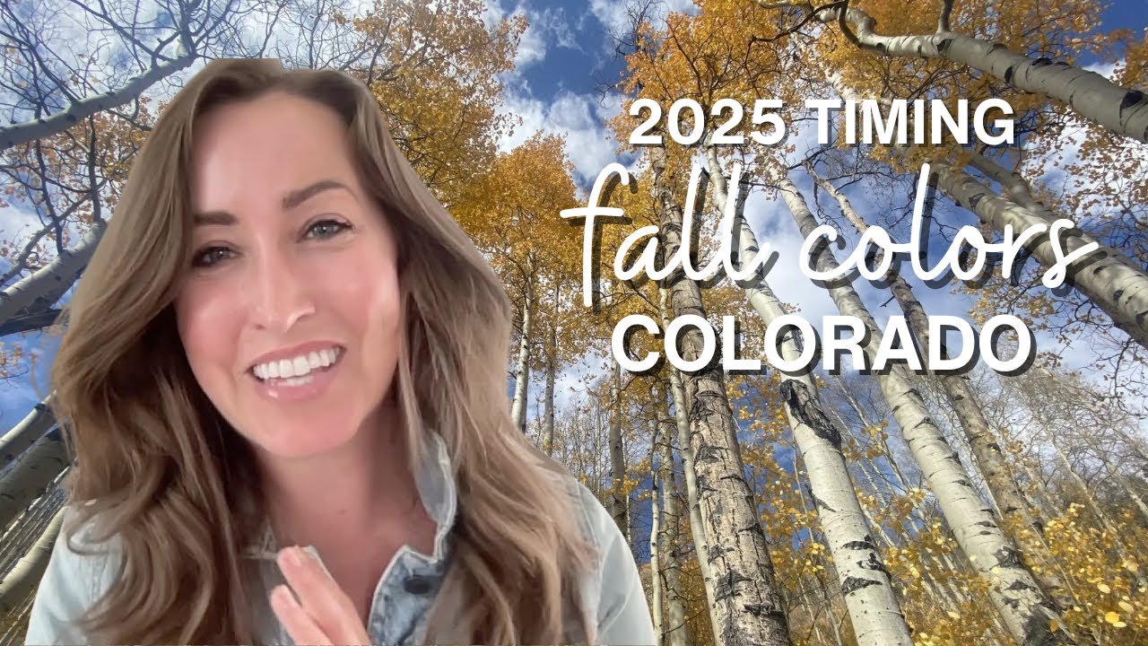 Colorado Autumn Leaves 2025