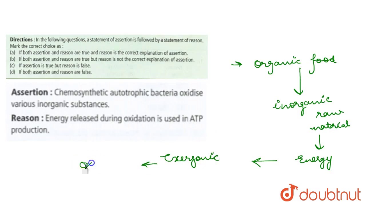 Autotrophic Bacteria