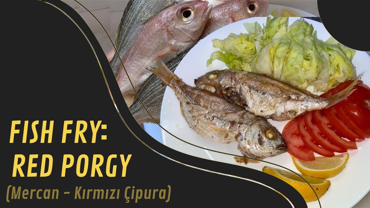 Fish Fry: Red Porgy (Mercan - Kırmızı Çipura) - YouTube