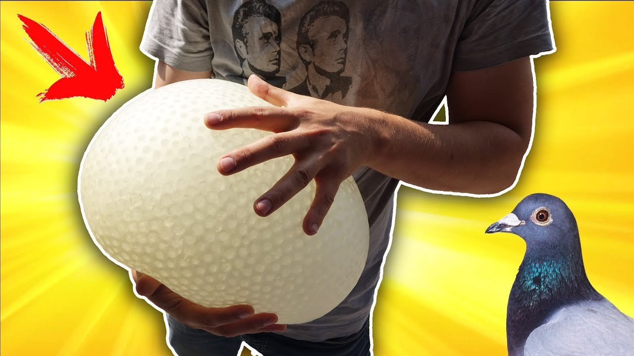 GIANT 15 KILOGRAM ORBEEZ STRESS BALL FALLS ON THE PIGEON!!! - YouTube