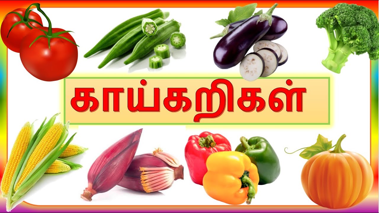 காய்கறிகள் பெயர்கள் | Learn Vegetable Names in Tamil and English for ...