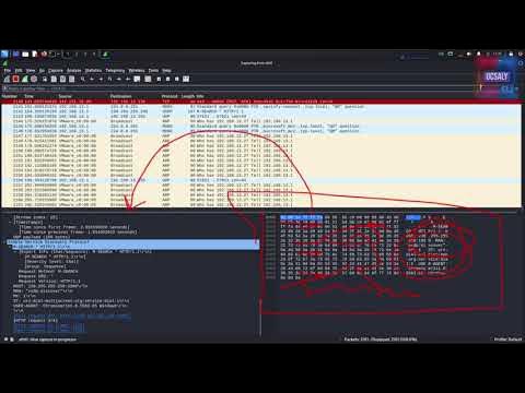 Wireshark 101: Mastering Captured Data Visualization and Plugins - YouTube