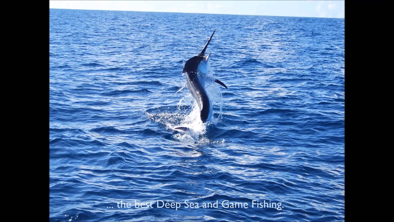 What you can do in Vilankulo - YouTube