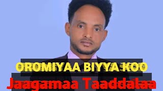 Jaagamaa Taaddalaa New Oromoo Music 2024 Disoo Video 2024 By Of Ta I ...