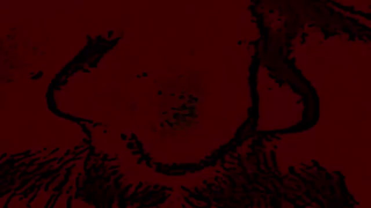 Raining Nose (raining blood blown nose cover) - YouTube