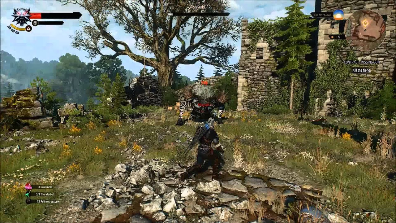 The Witcher 3 : Morvudd the Fiend Fight [Mastercrafted Feline gear ...