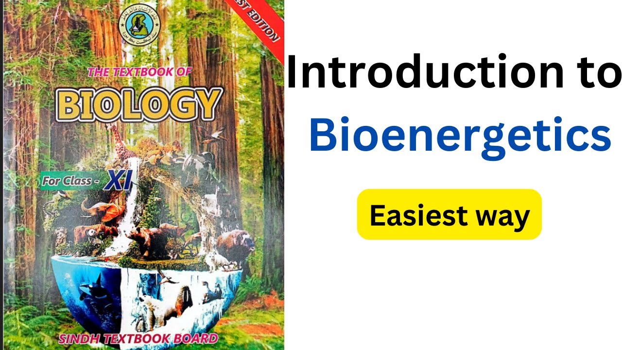 Introduction to bioenergetics |chapter 4 bioenergetics 11th class biology Sindh board| Dr Ahsan ...
