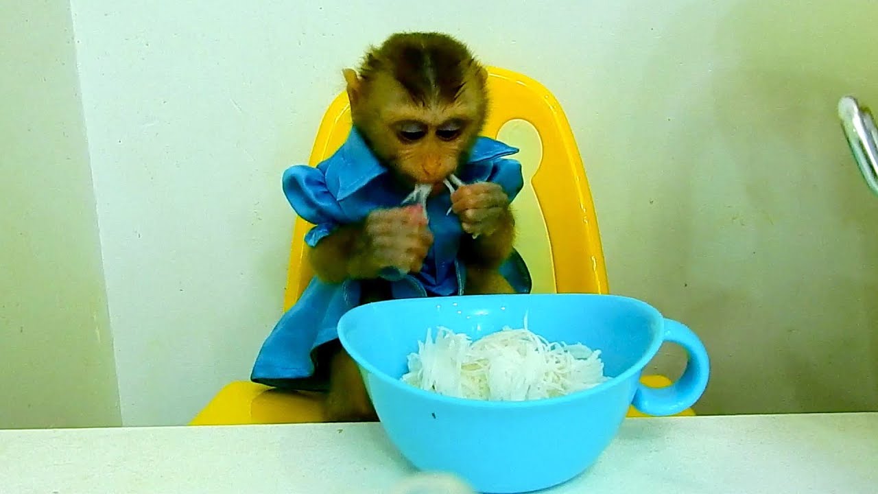Lil foodie Julie look so enjoy all yummy food dad treat. - YouTube