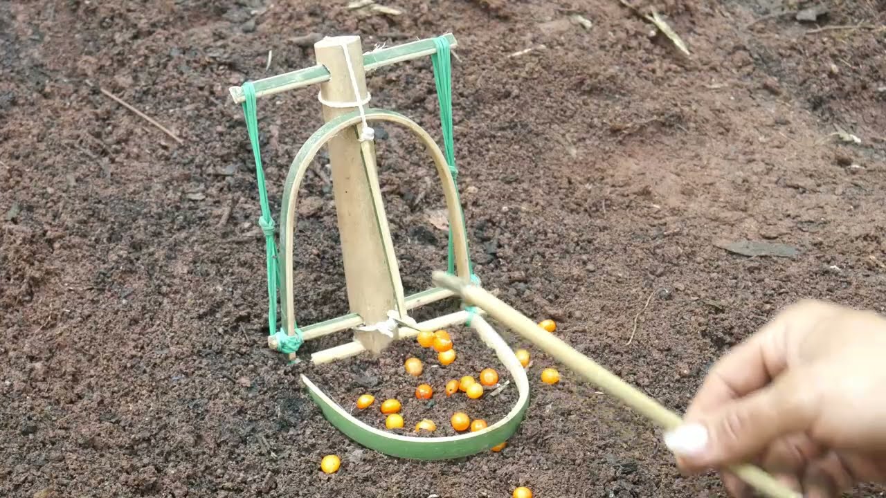 Wild Man: Skill and Technique to Create Amazing Trap in the Forest for ...