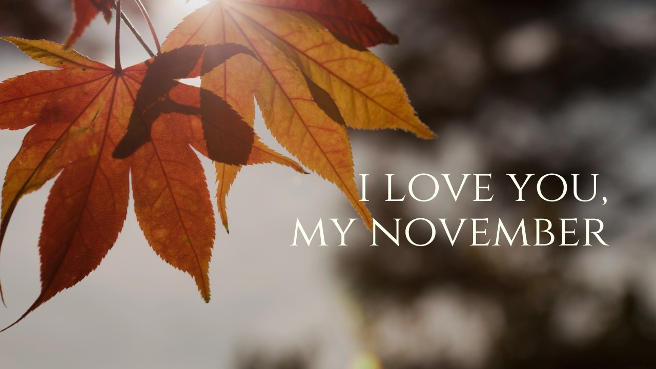 I love you, my November - YouTube