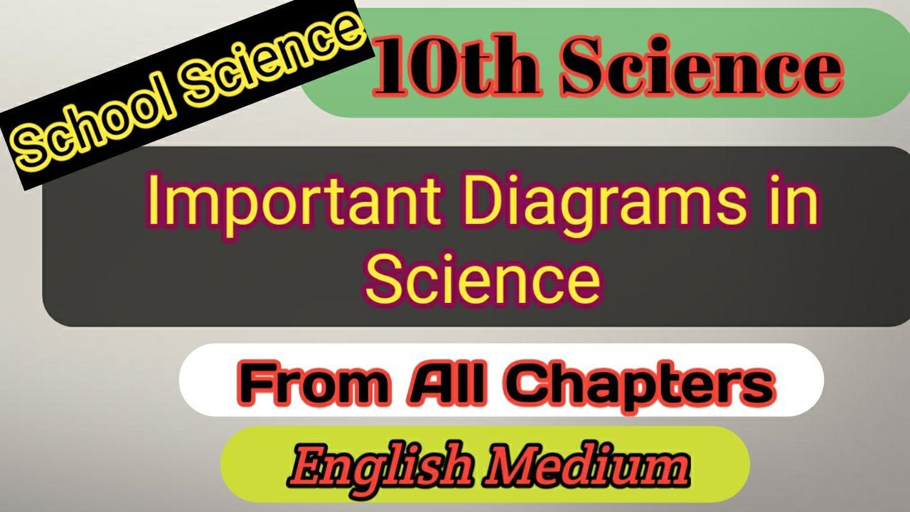 SSLC Science || Important Diagrams For 10th Standard Exam June 2021 ...