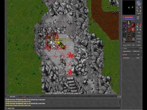 Wyvern - tibia - YouTube
