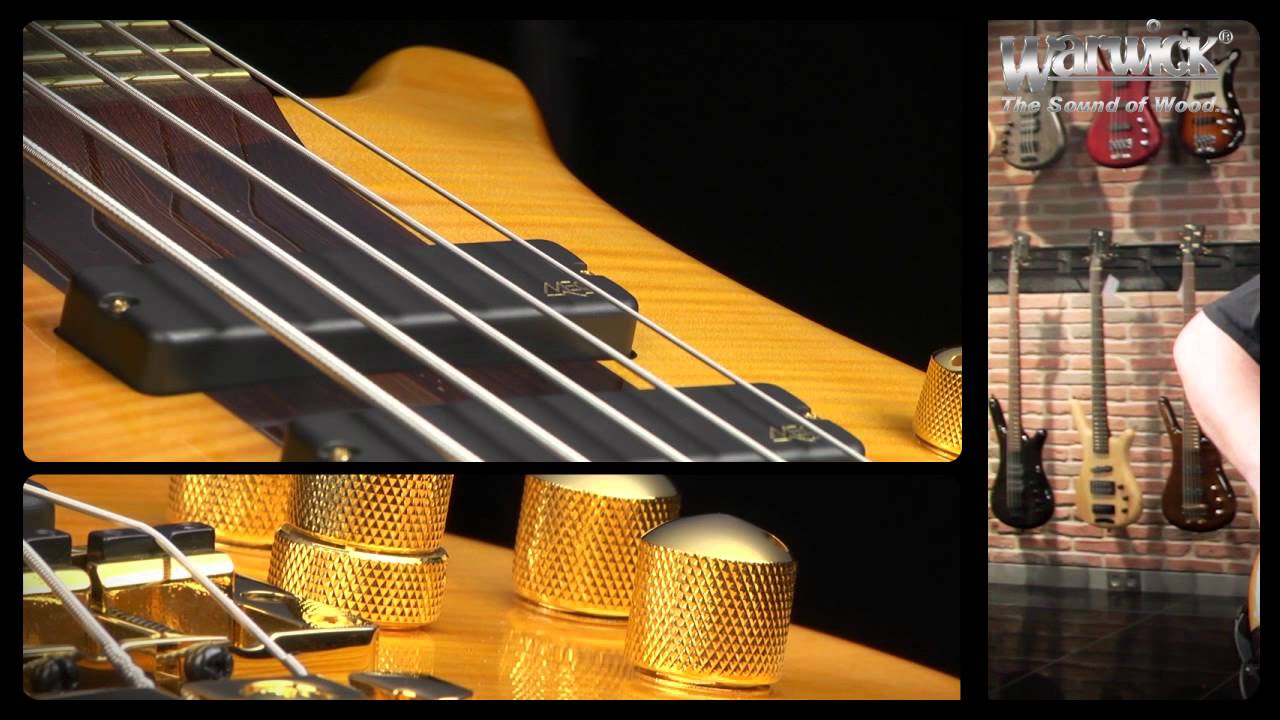 The Streamer Stage I 5-String - product demo with Andy Irvine - YouTube