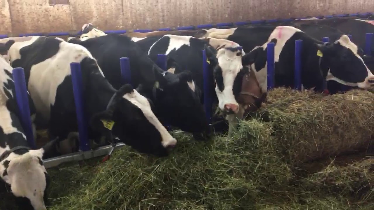 EasyFix Vertical Feed Front - YouTube