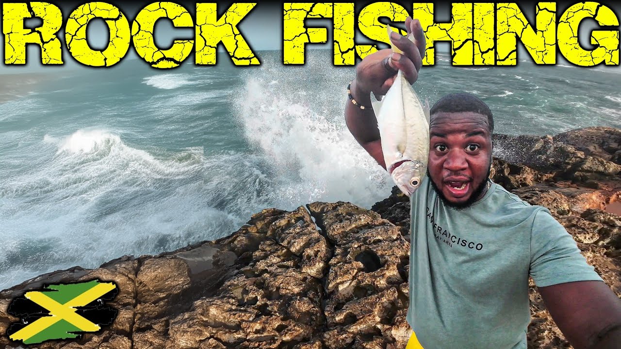 Jamaica Rock Fishing Challenge: How Many Can We Catch - YouTube