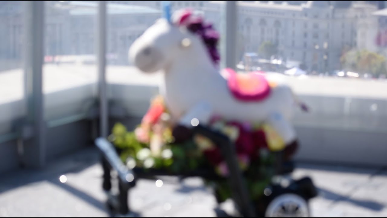 Electro Rocky - The Electric Unicorn 😂 - YouTube