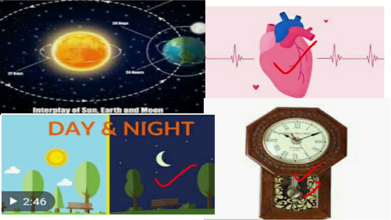 Term-II Unit-3 PERIODIC and NON PERIODIC changes Class 7 Science - YouTube