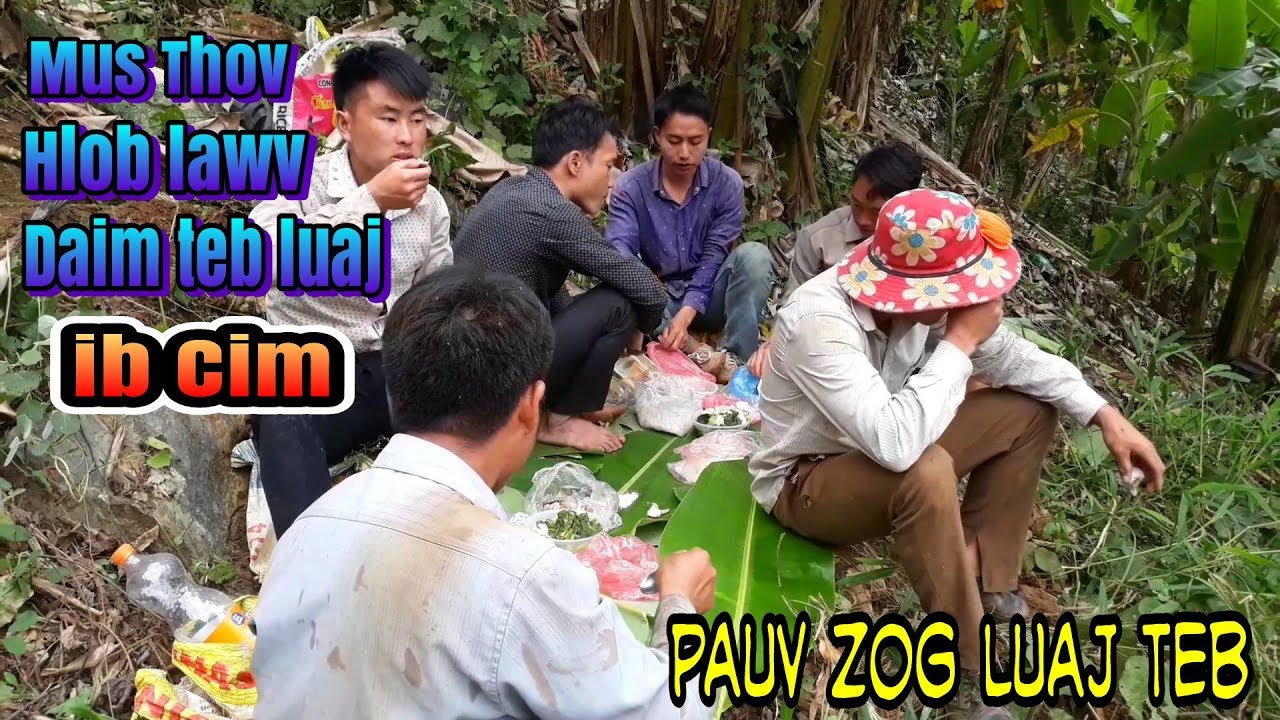 Pauv Zog luaj teb nplooj Hmab Soo Ntsoj yij peev Khaus ib ce Kawg - YouTube