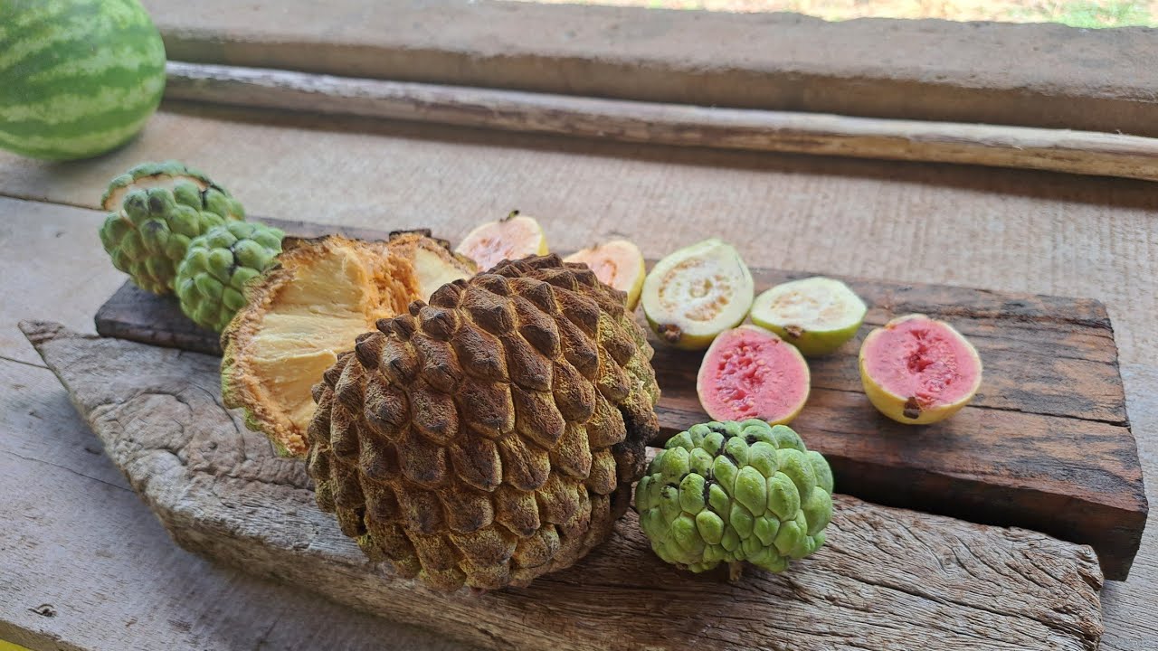 Frutas da época,Vila Boa Goiás nativa e doméstica, Araticum,Fisalis ...