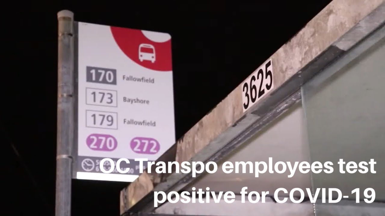 OC Transpo driver tests positive for COVID-19 as cases in Ottawa surge ...