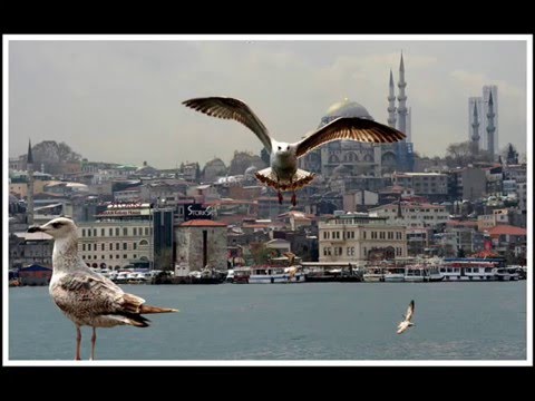 Farid Farjad istanbul