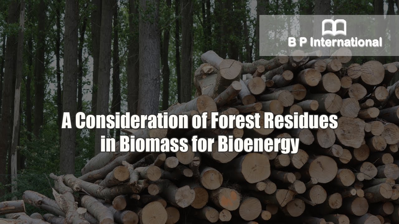 A Consideration of Forest Residues in Biomass for Bioenergy - YouTube