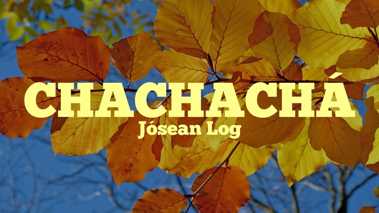 Jósean Log - Chachachá (Letra/Lyrics) - YouTube