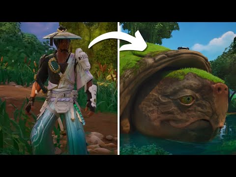 How To Complete The Great Turtle Quests Easily? (Fortnite Chapter 6 ...