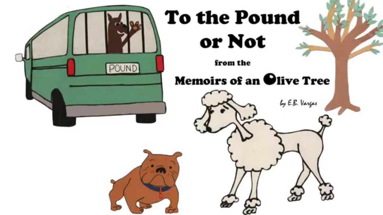 To The Pound Or Not Memorials Of Faith YouTube to-the-pound-or-not-memorials-of-faith-youtube