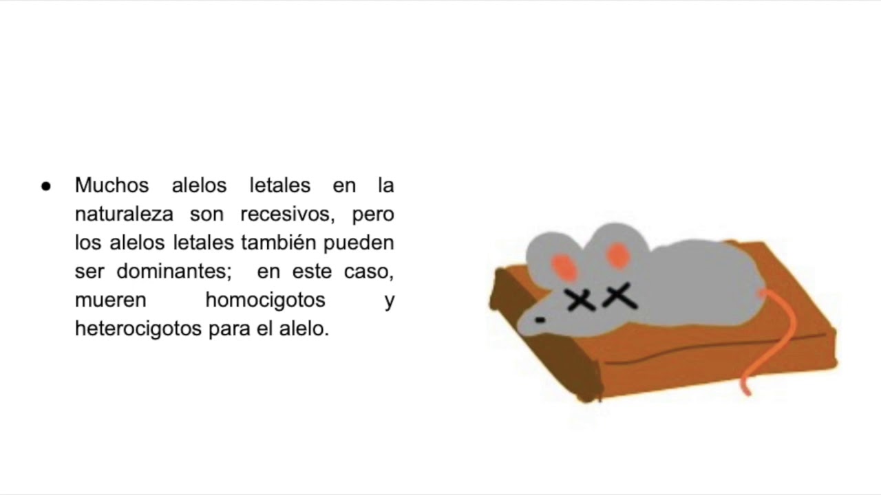Alelos letales - YouTube