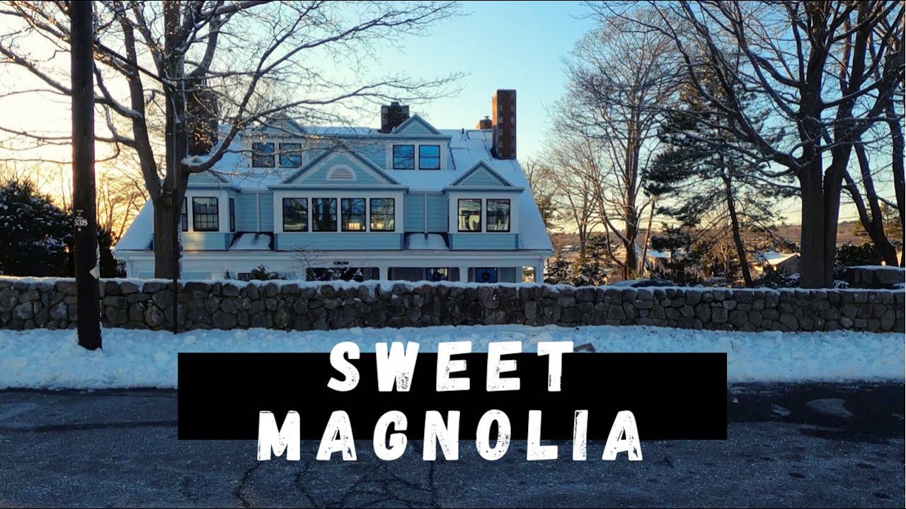 Magnolia || Massachusetts || Travel Vlog #magnolia #massachusetts # ...