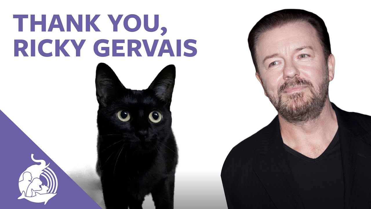 Thank You Ricky Gervais! - YouTube