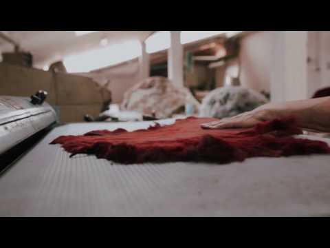 Ariela Sebis - clip de prezentare