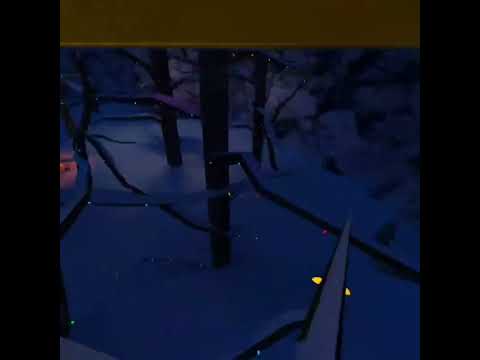 Playing foxy tag tag which is a gorilla tag fan game 😆👍 - YouTube