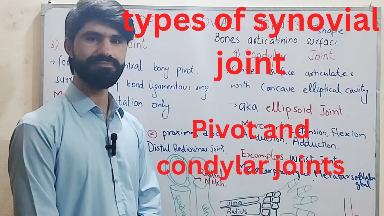 classification of synovial joints | pivot joint and condylar joint ...